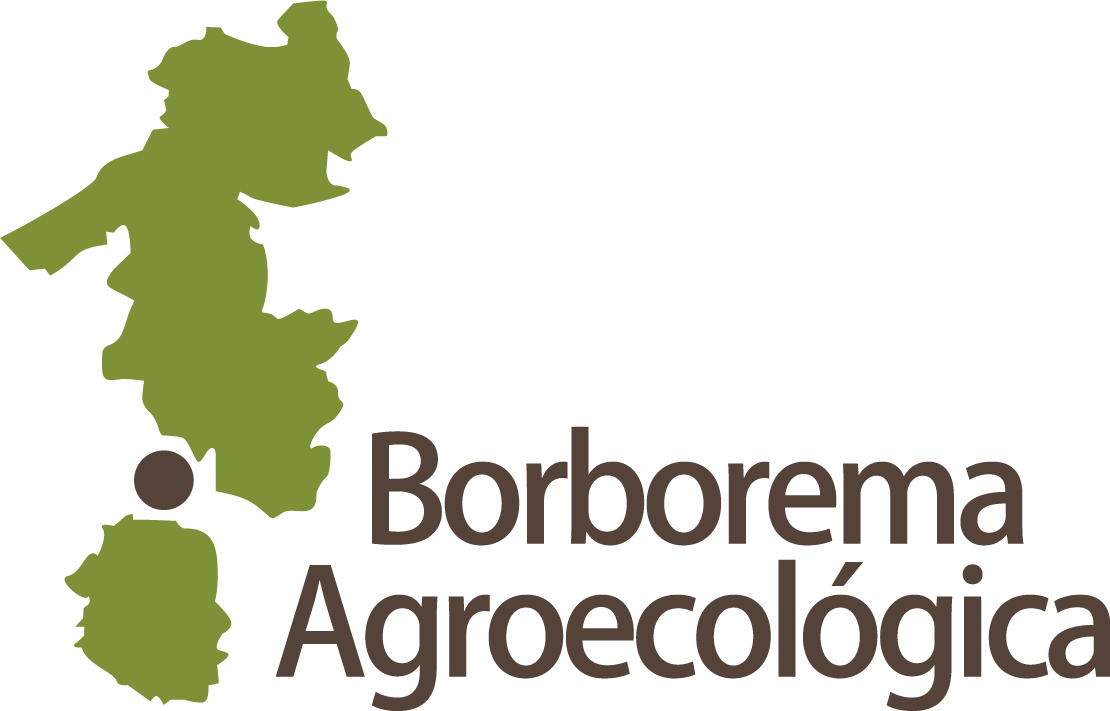 Borborema Logo